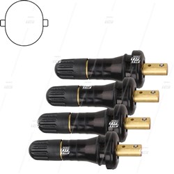 TPMS Valves & Valve Service Kits - REMA Web Shop
